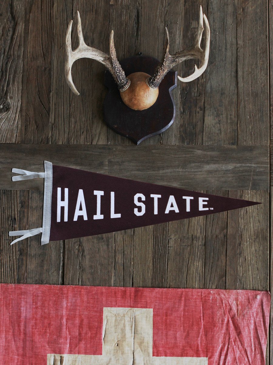Ha1l State Logo